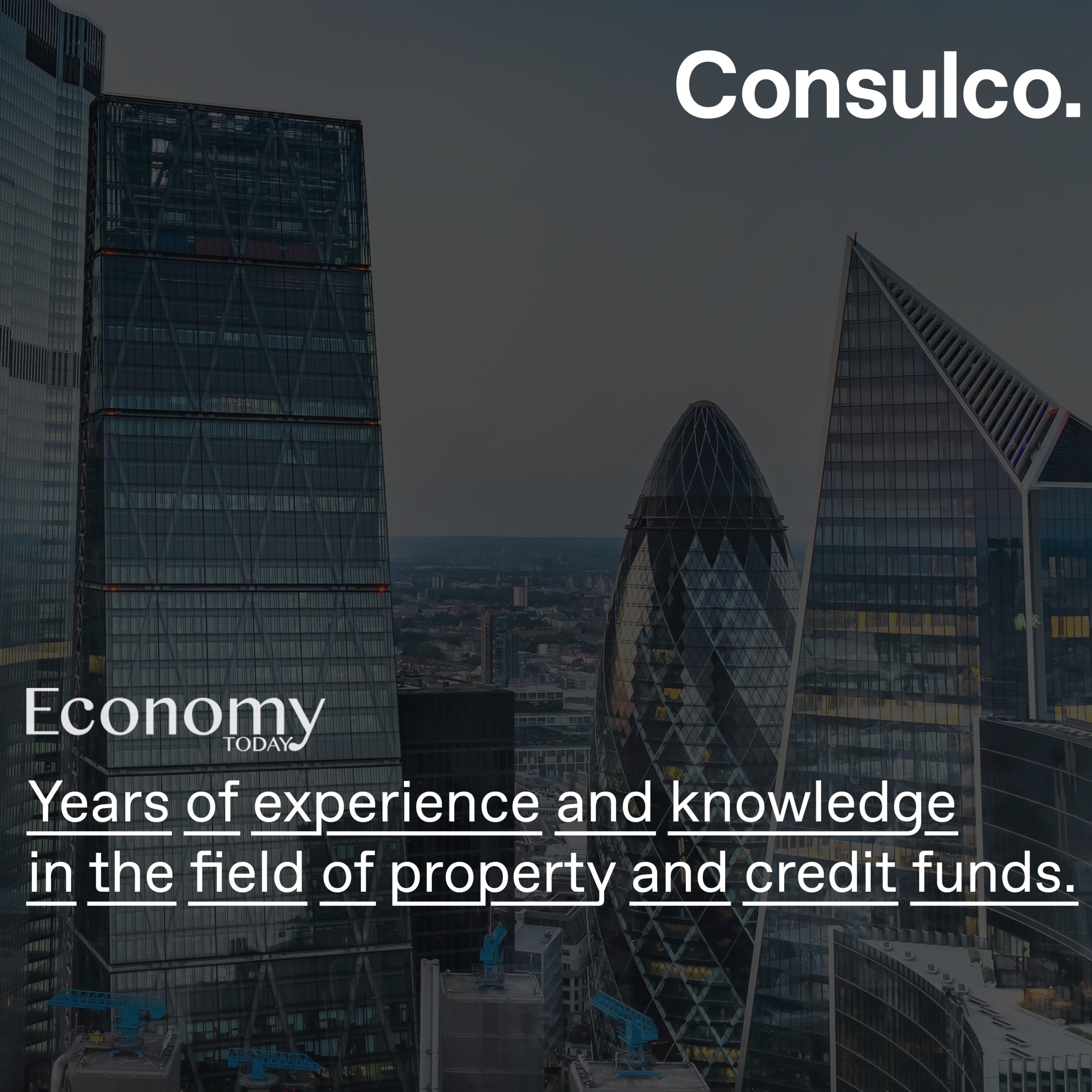 Consulco: Years of experience and knowledge in the field of property ...